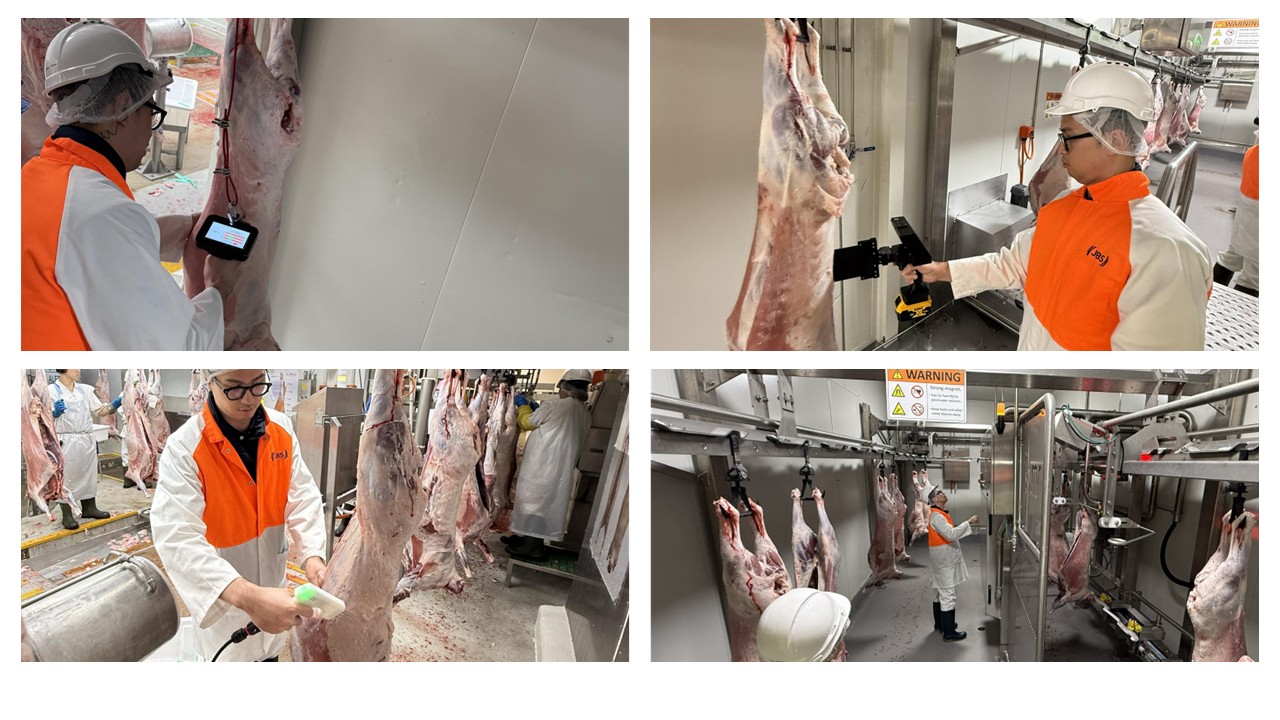 Australian Meat Processor Corporation - Supporting the red meat ...
