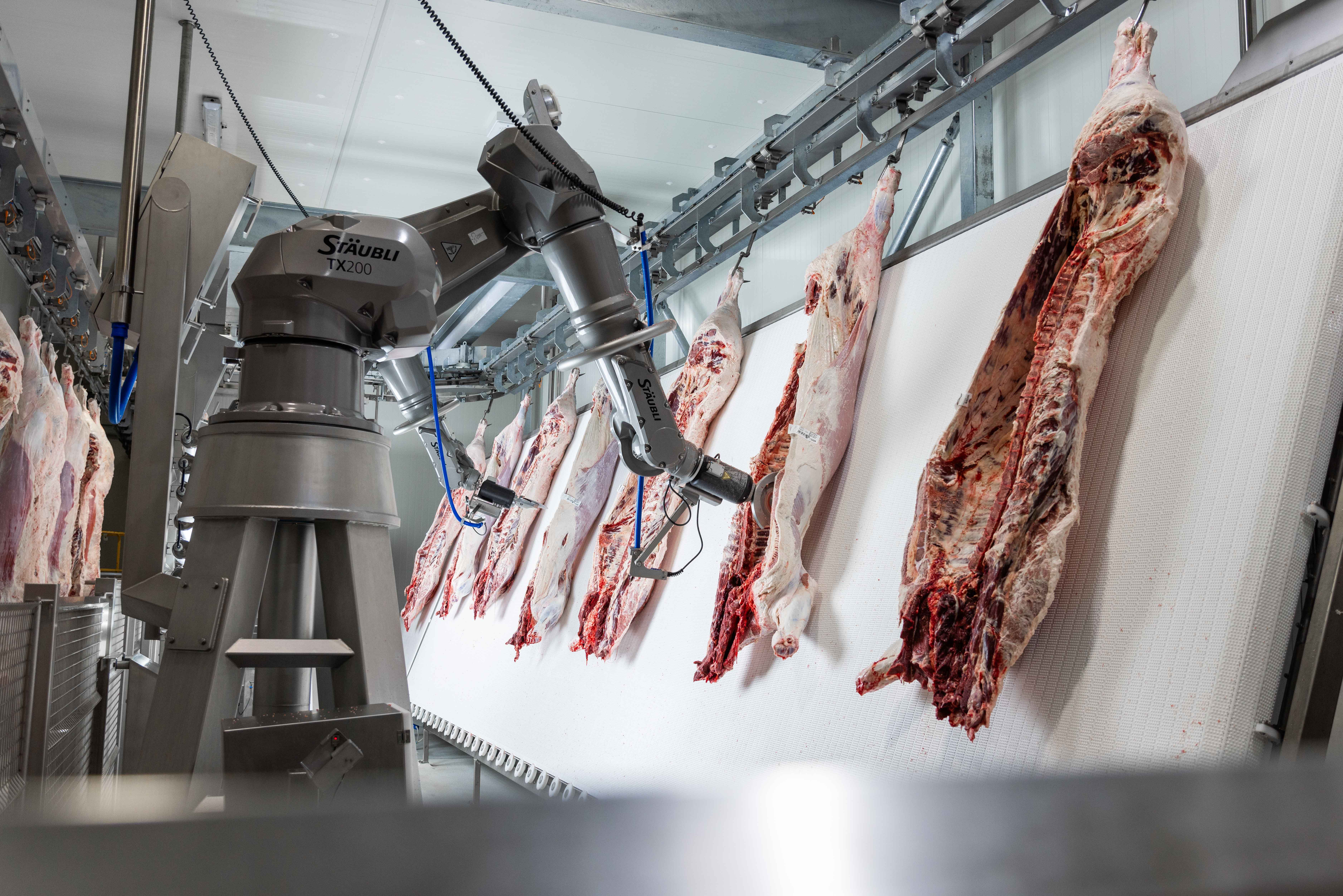 Australian Meat Processor Corporation - Supporting the red meat ...